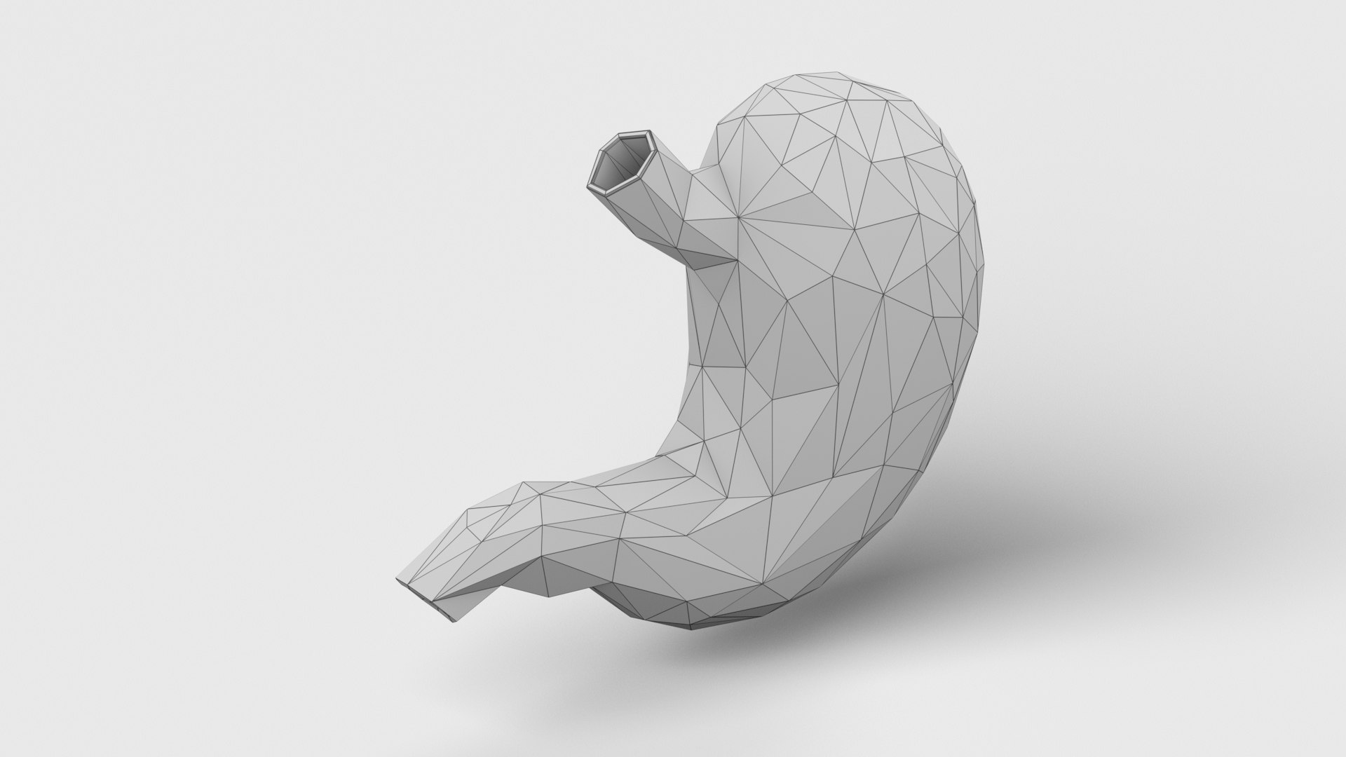 3D model Low Poly Anatomy collection - TurboSquid 1885612