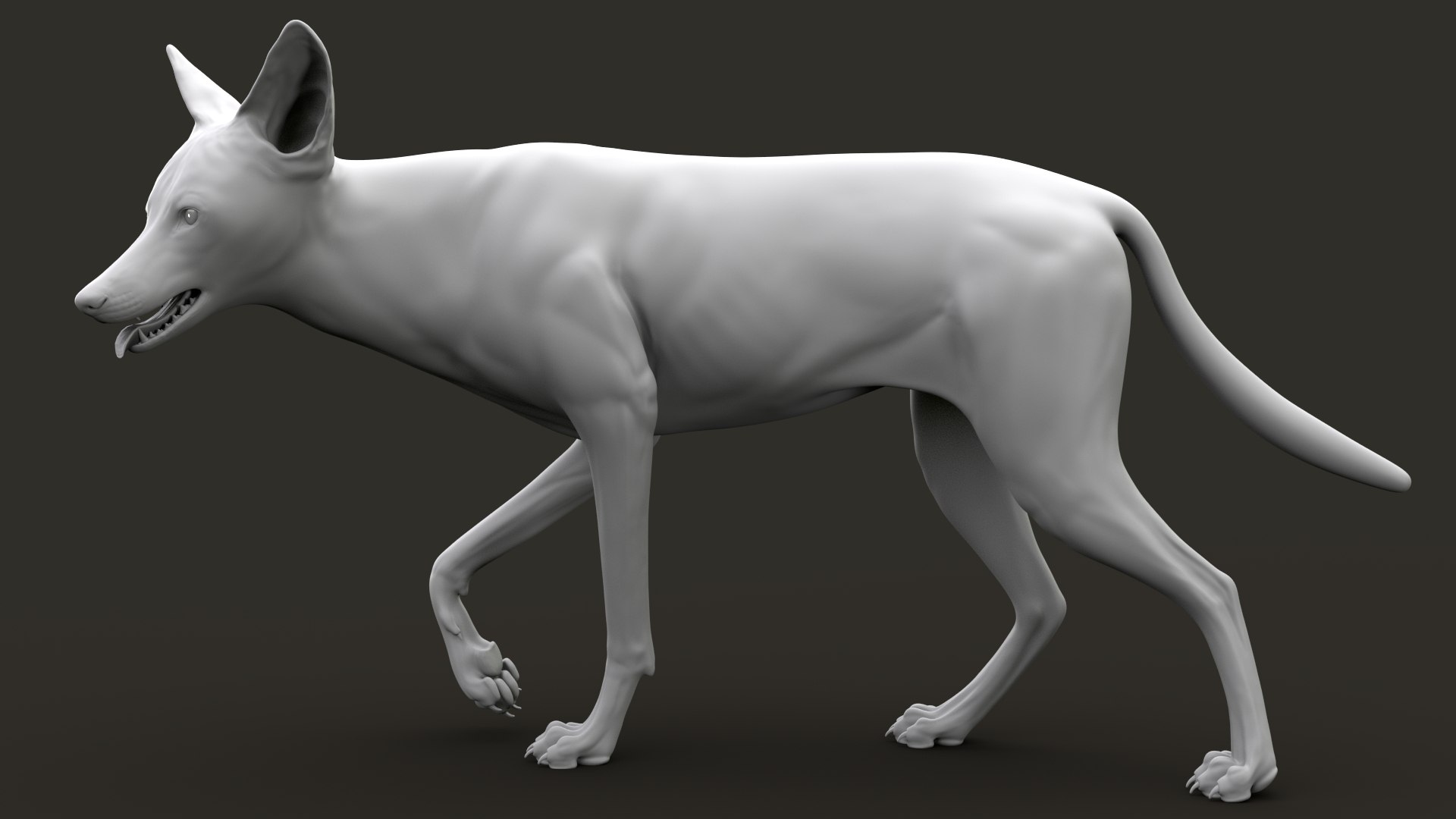 3D Model Black Backed Jackal FUR - TurboSquid 2030911