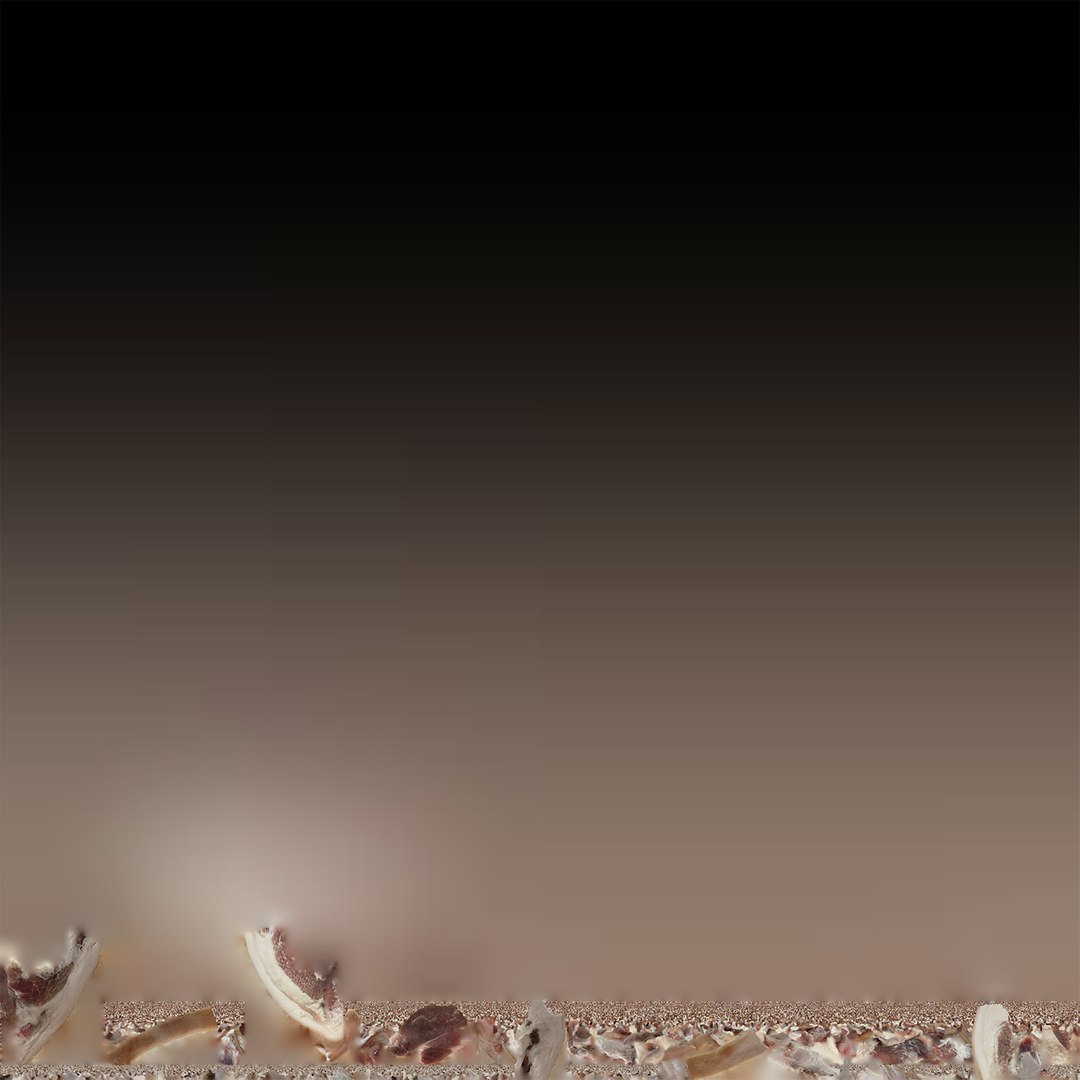 3D Hanging Pork 3d Scan - TurboSquid 2002522