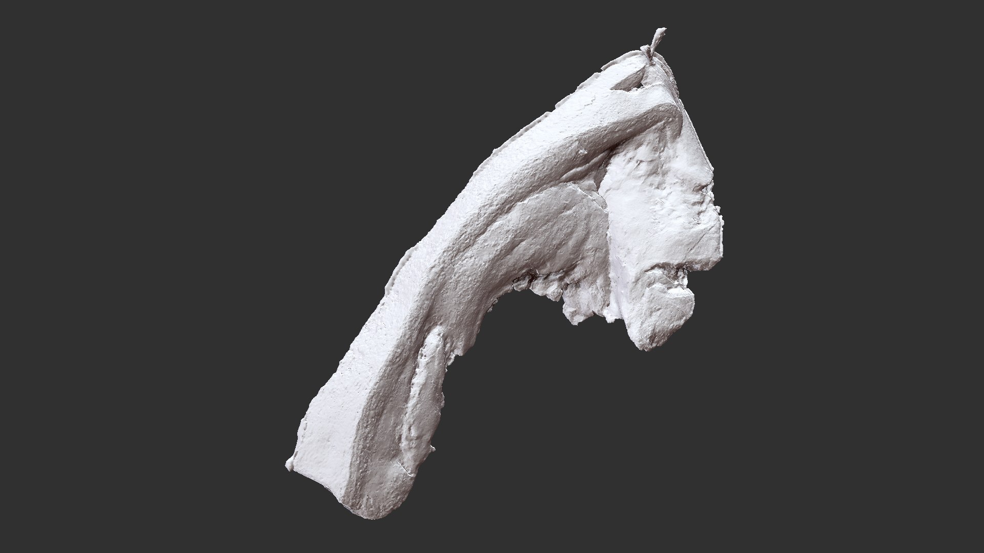 3D Hanging Pork 3d Scan - TurboSquid 2002522