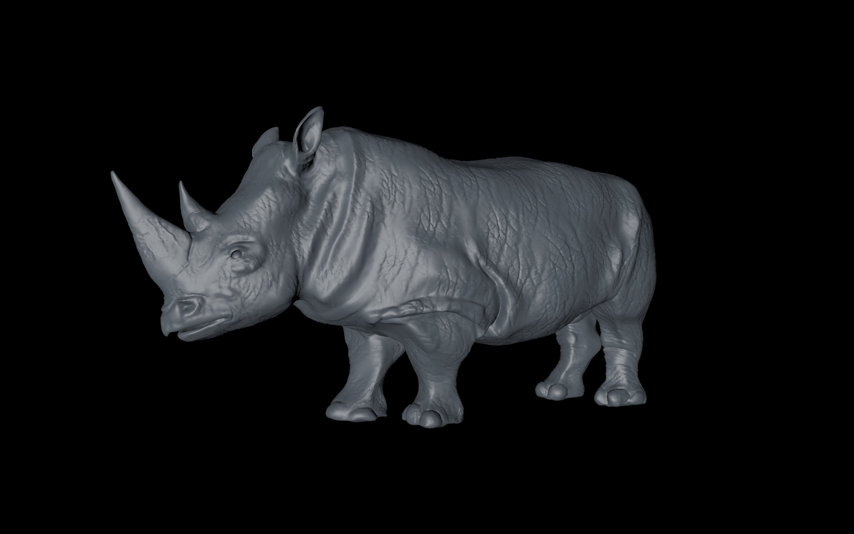 White Rhinoceros L197 Animate 3D Model - TurboSquid 1425761