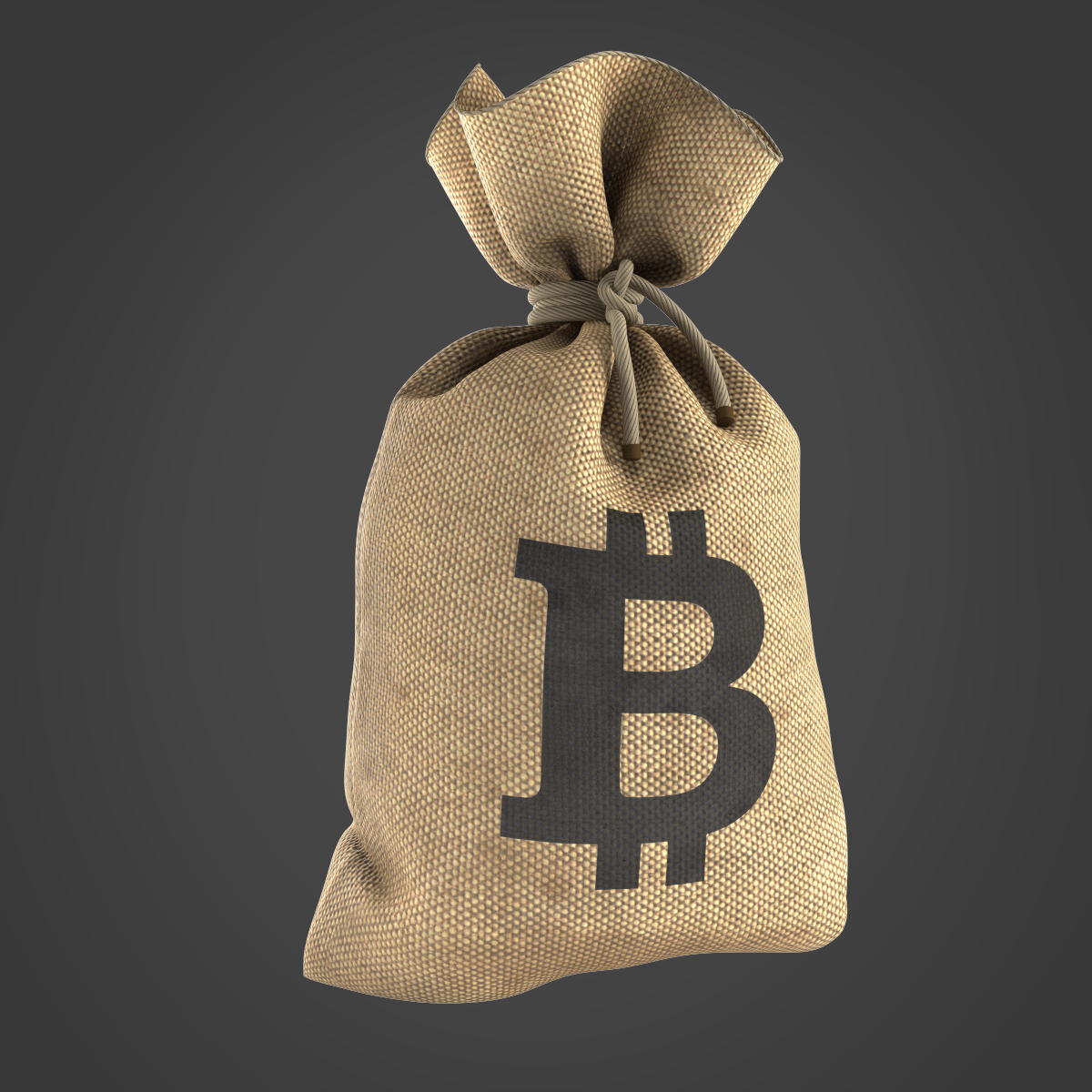 Bitcoin money bag 3D - TurboSquid 1185979
