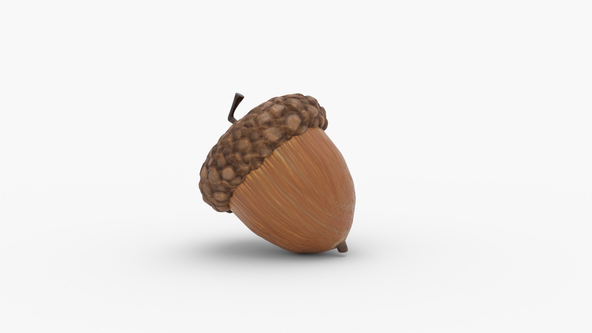 Scrat Acorn Nut 3D Model - TurboSquid 2368566