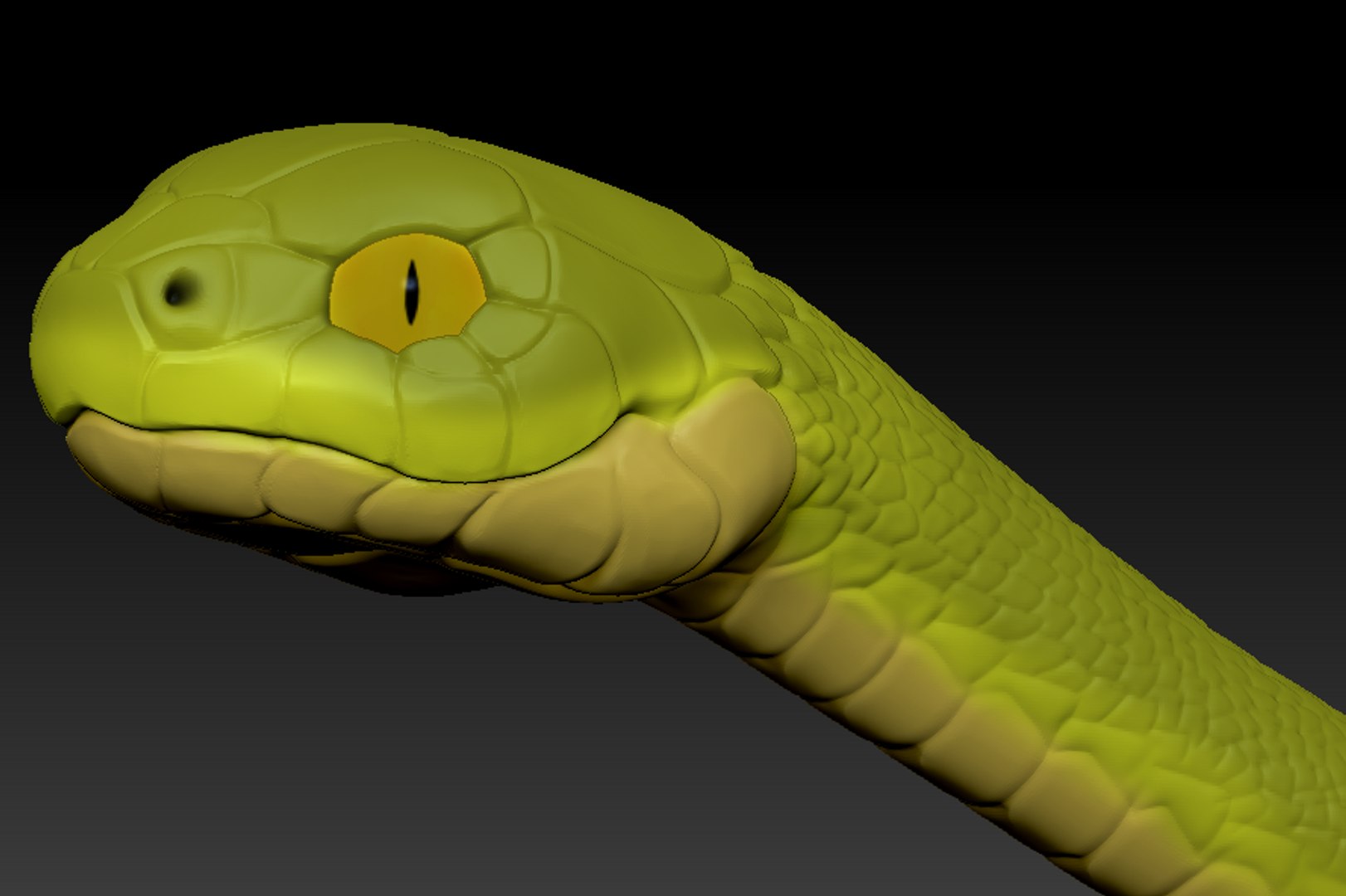 Snake 3D model - TurboSquid 1605313