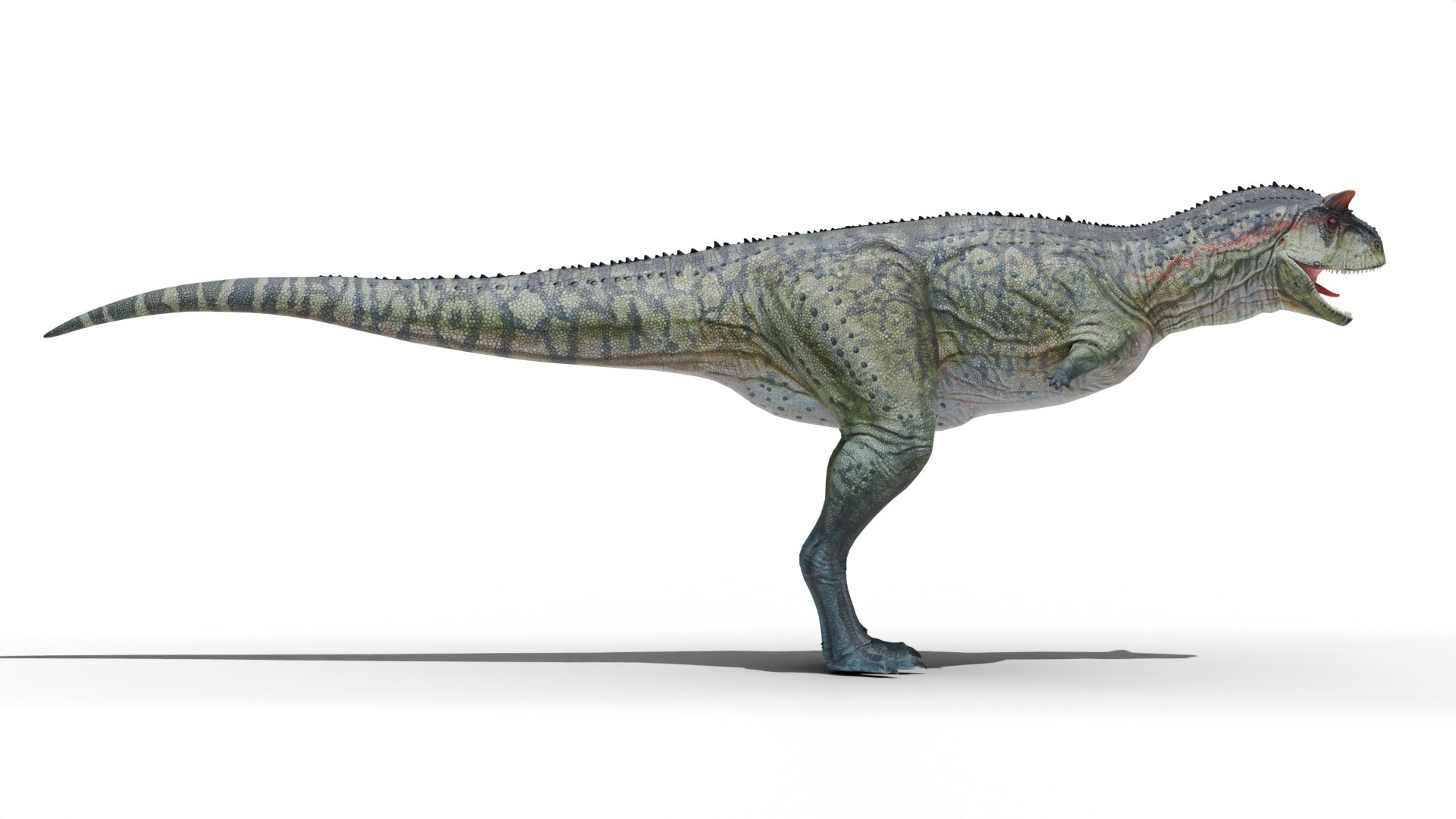 Carnotaurus - Dinosaur 3D Model - TurboSquid 2519958