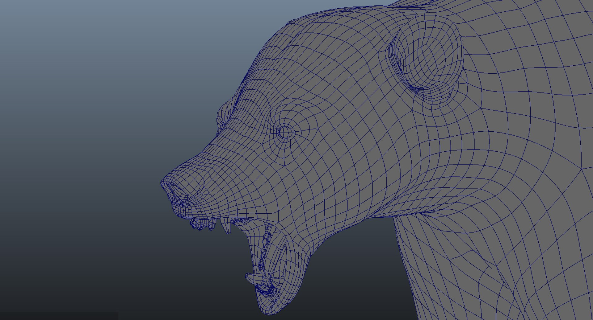 3d Model Of Bear Rigged 2 Fur