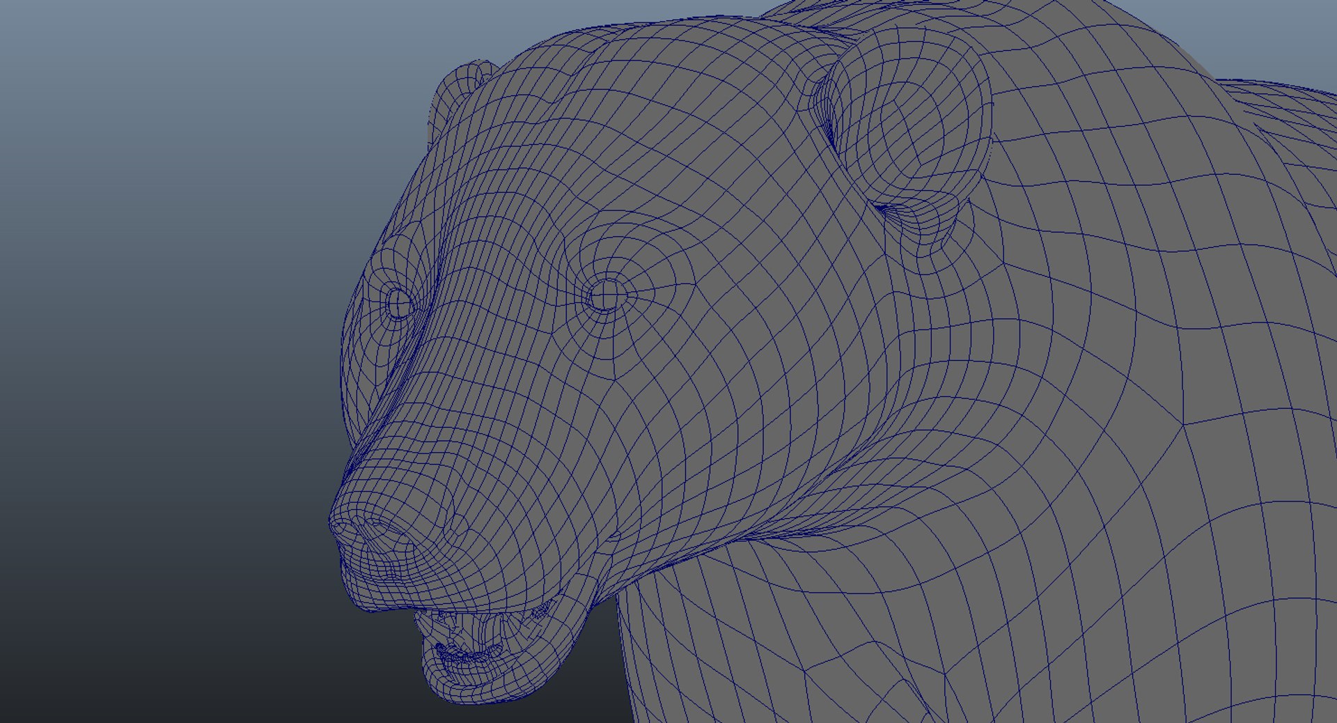 3d Model Of Bear Rigged 2 Fur