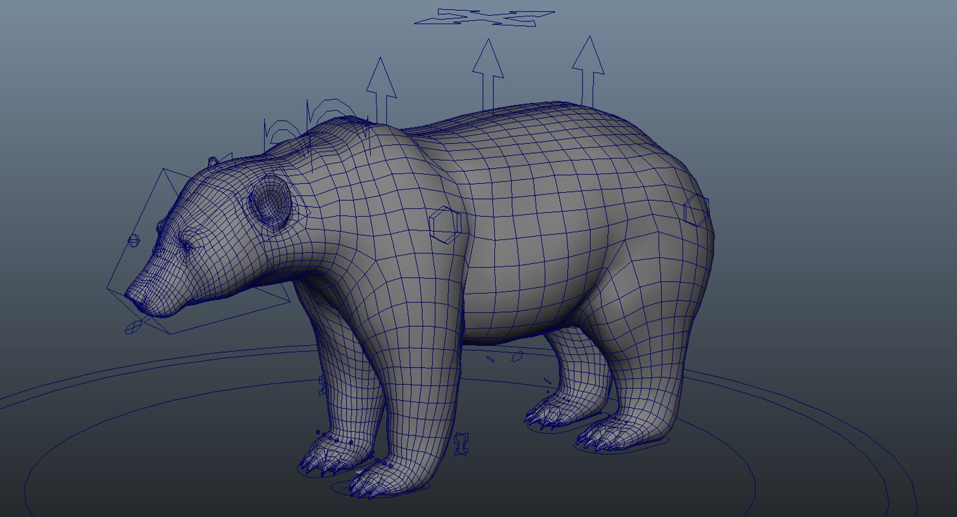 3d Model Of Bear Rigged 2 Fur