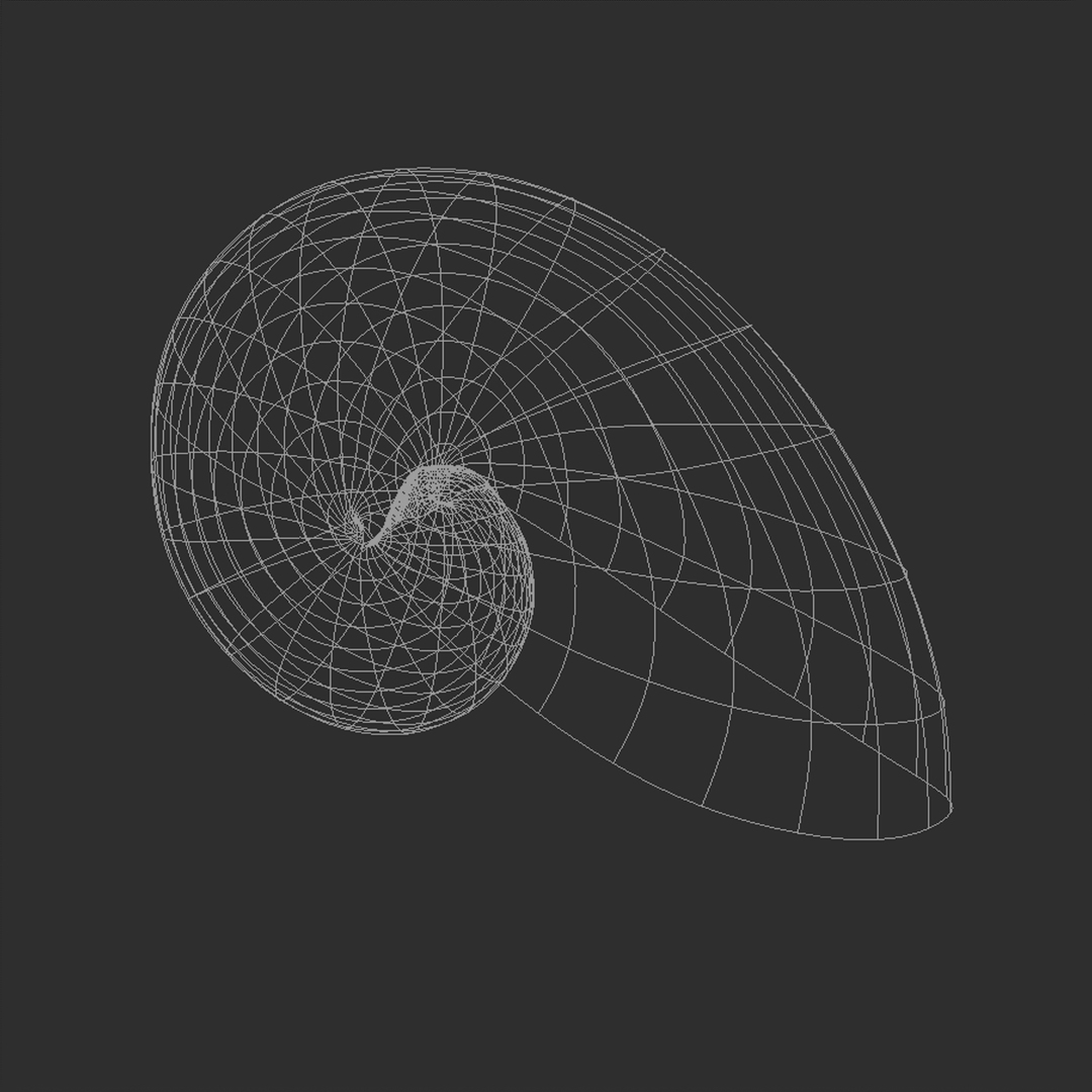 nautilus shell 3d model