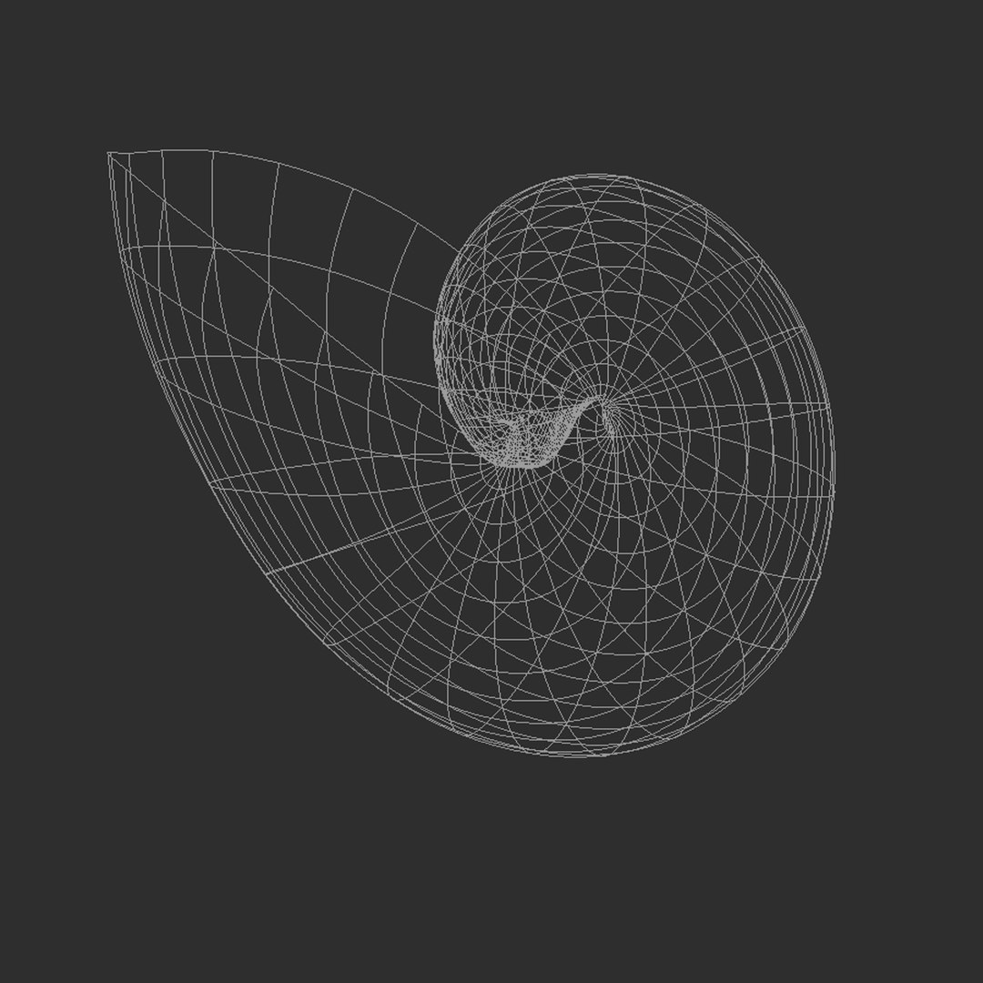 Nautilus Shell 3d Model