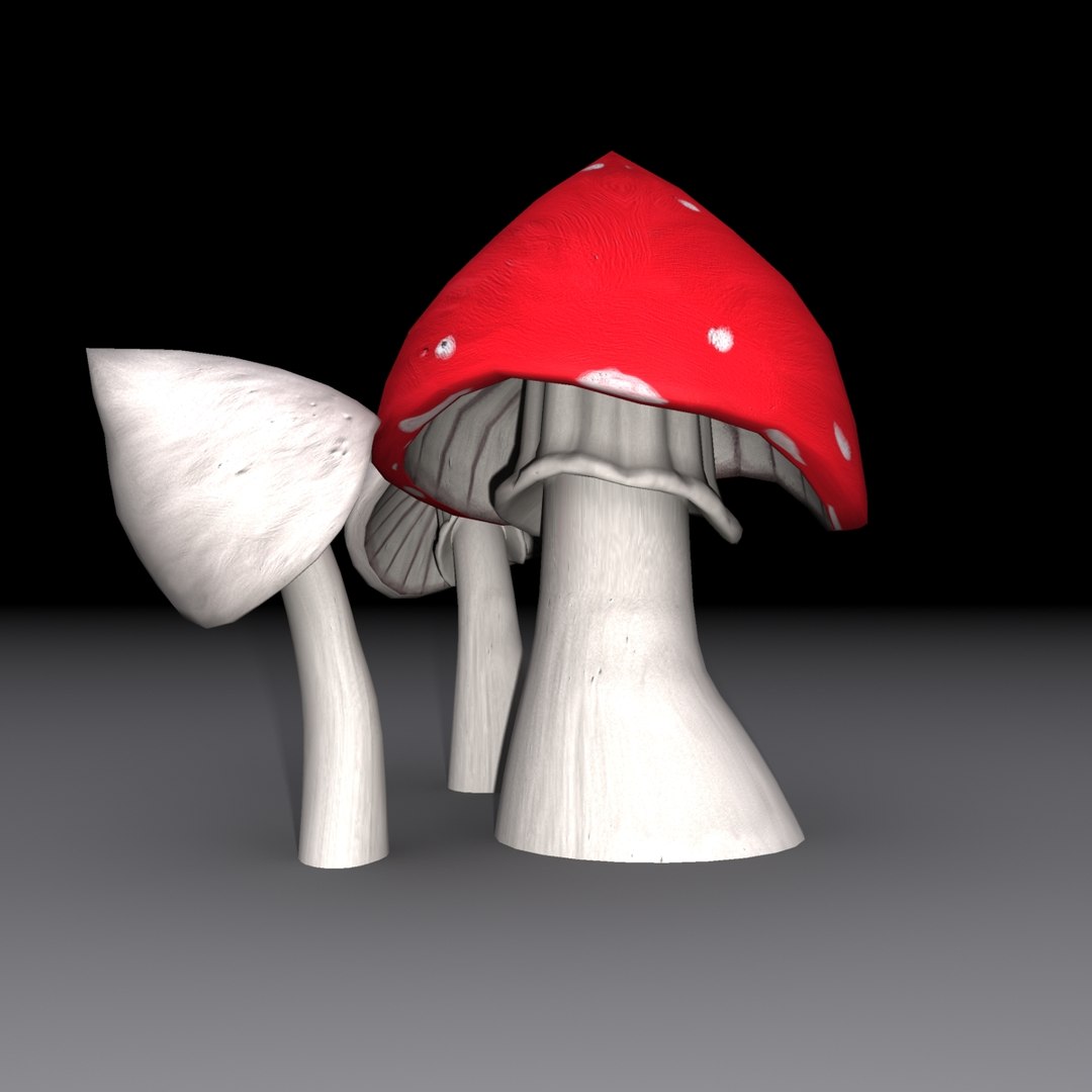 3d Fantasy Toadstools Model