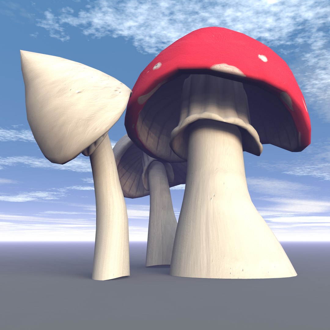 3d Fantasy Toadstools Model