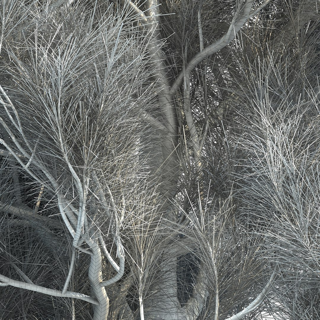 3 Tree 3D Model - TurboSquid 1354525