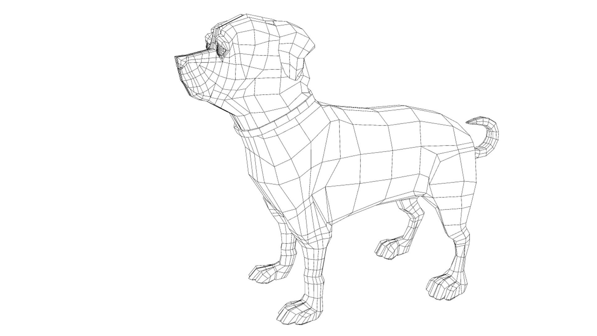 3d Rigged Dogs Pug Model