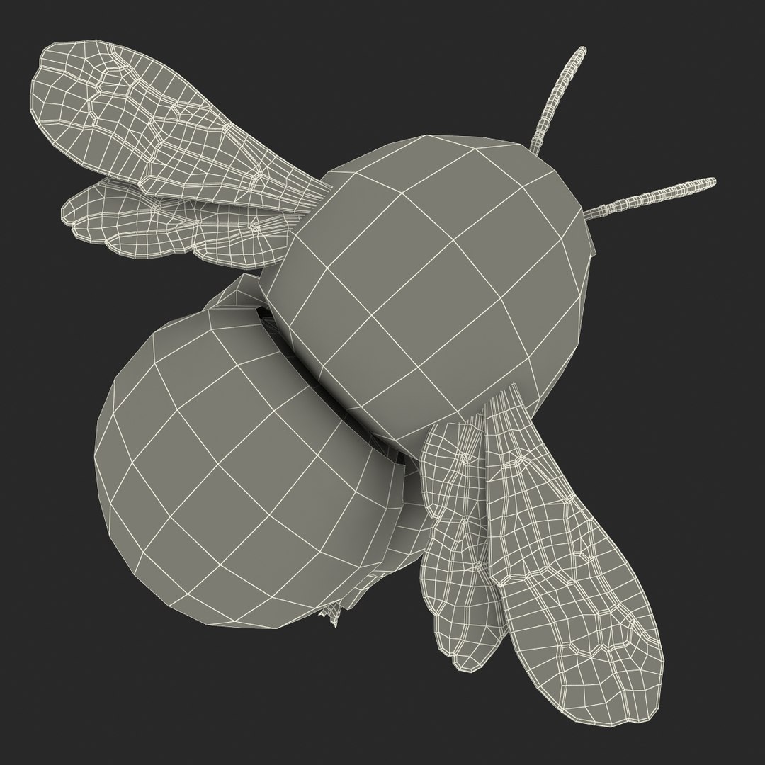 bumblebee bumble bee max