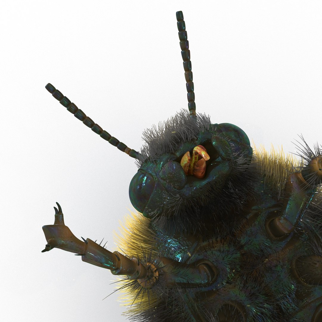bumblebee bumble bee max