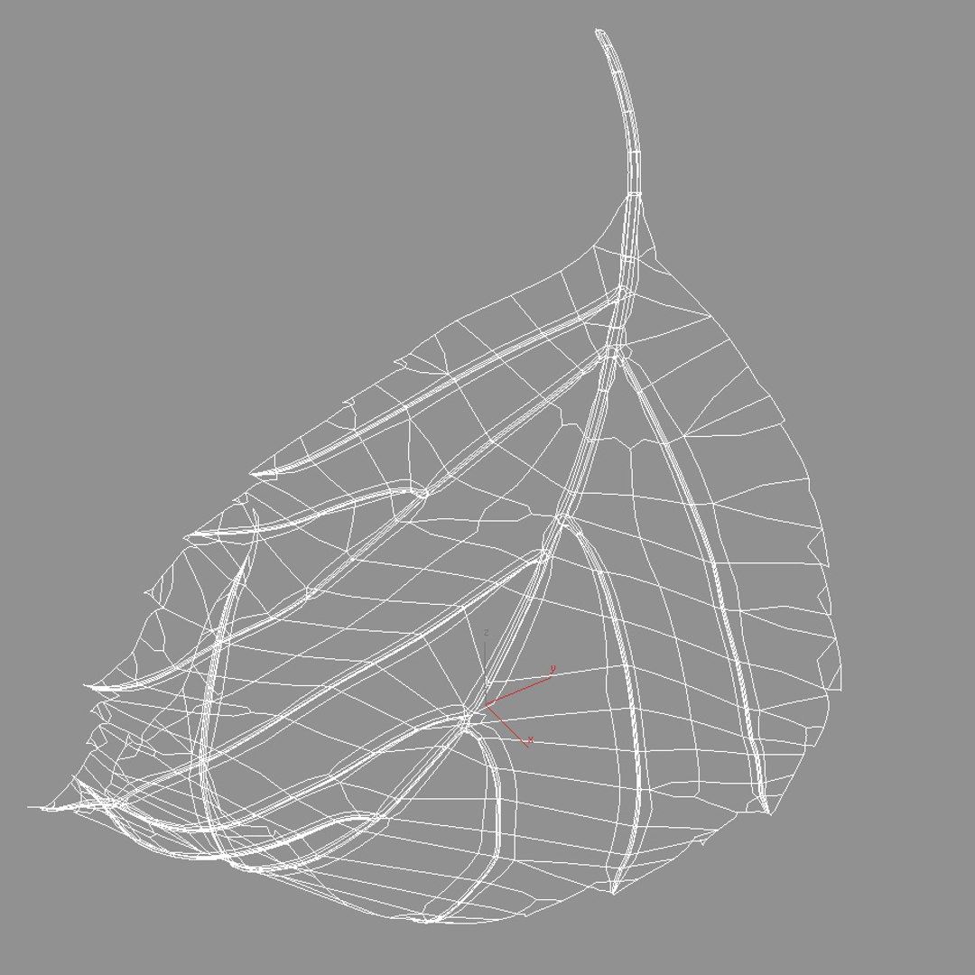 Autumn Leaf Red 3d Max