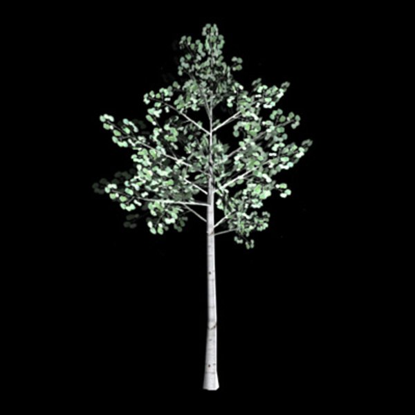 3ds max tree forests