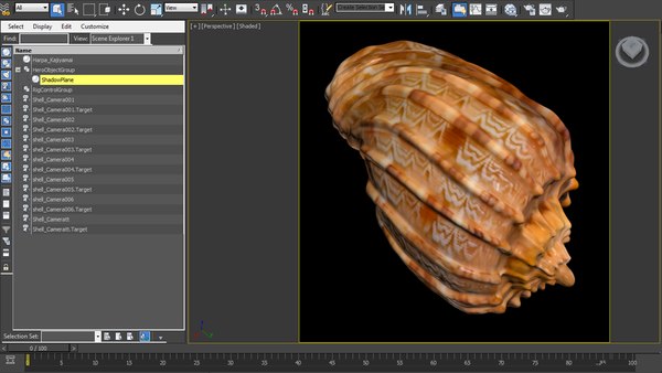 3D Harpa Kajiyama Seashell - TurboSquid 1731971