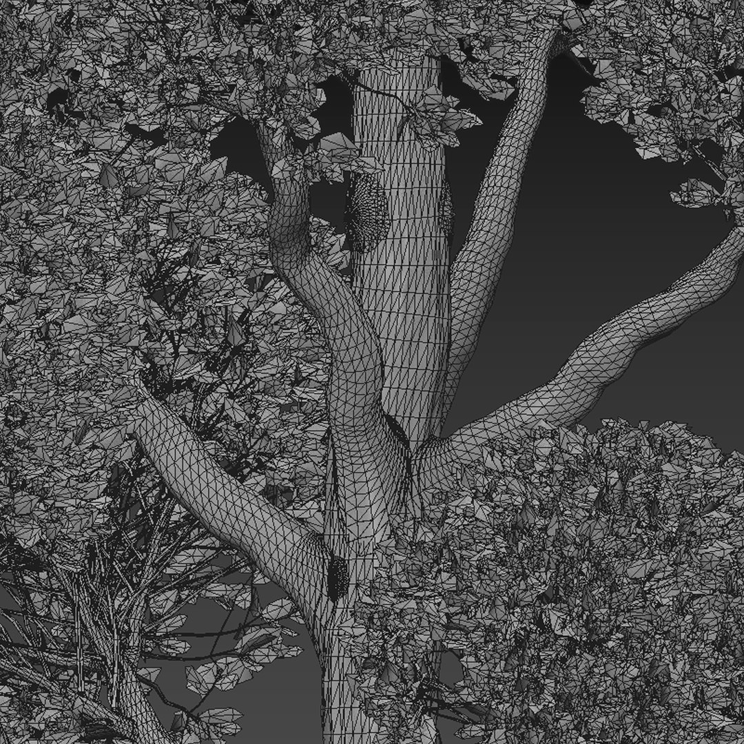 3D Set Of Round Shaped Bonsai Tree - 2 Trees Model - TurboSquid 2000221