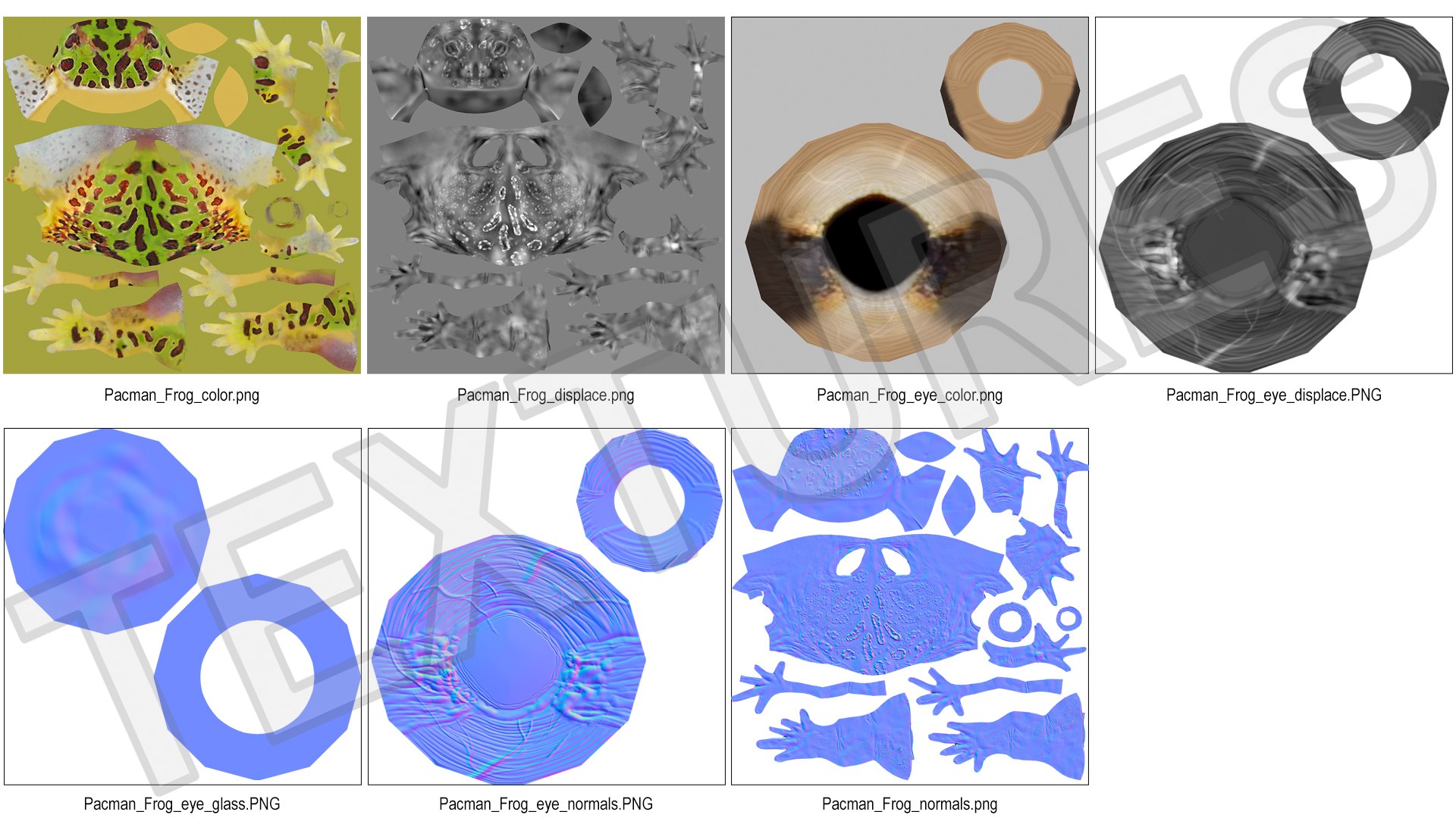 3D Model American Horned Frog - TurboSquid 2307909