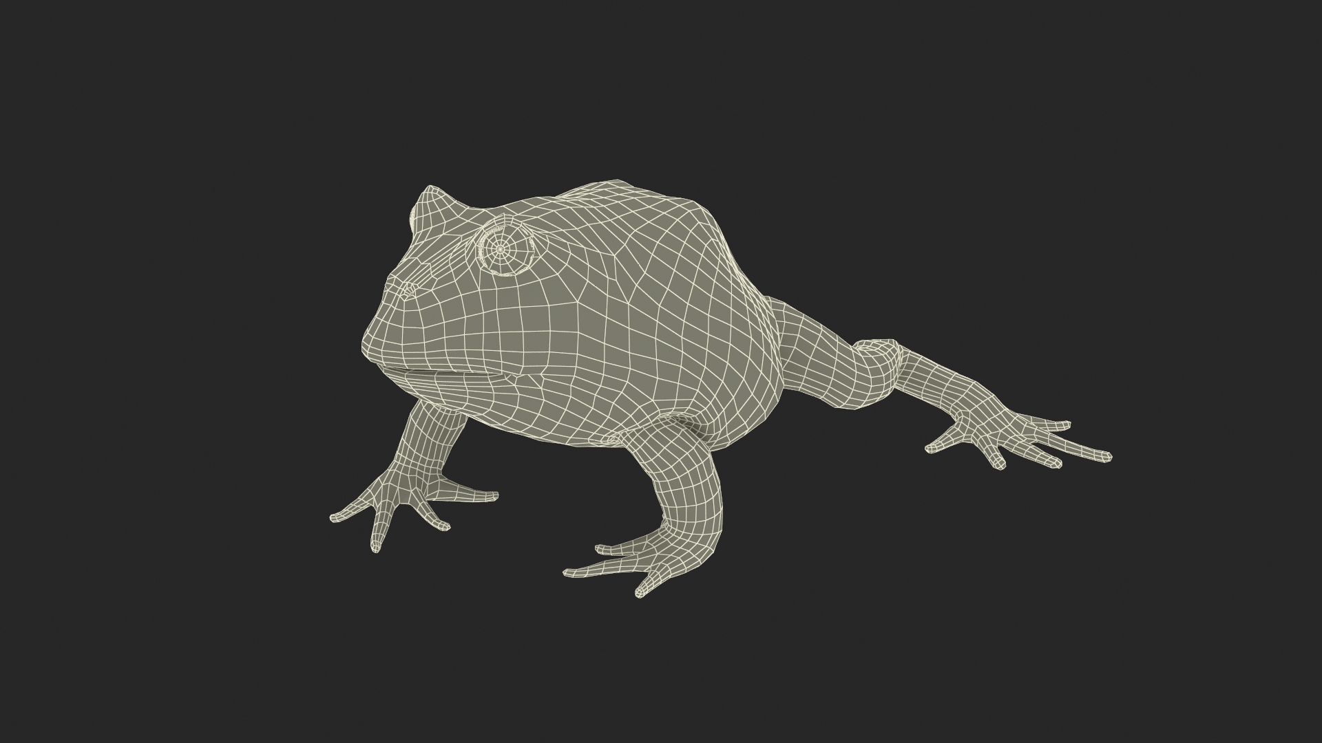 3D Model American Horned Frog - TurboSquid 2307909