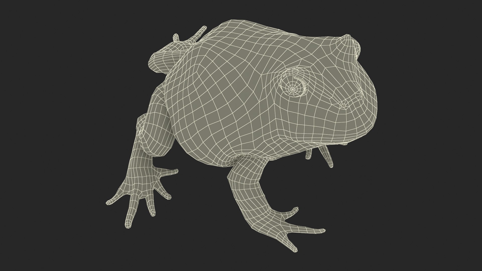 3D Model American Horned Frog - TurboSquid 2307909