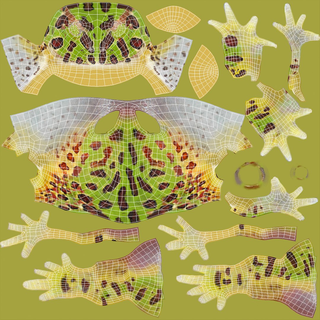 3D Model American Horned Frog - TurboSquid 2307909