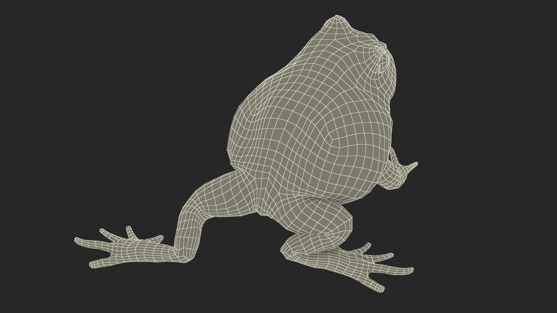 3D Model American Horned Frog - TurboSquid 2307909