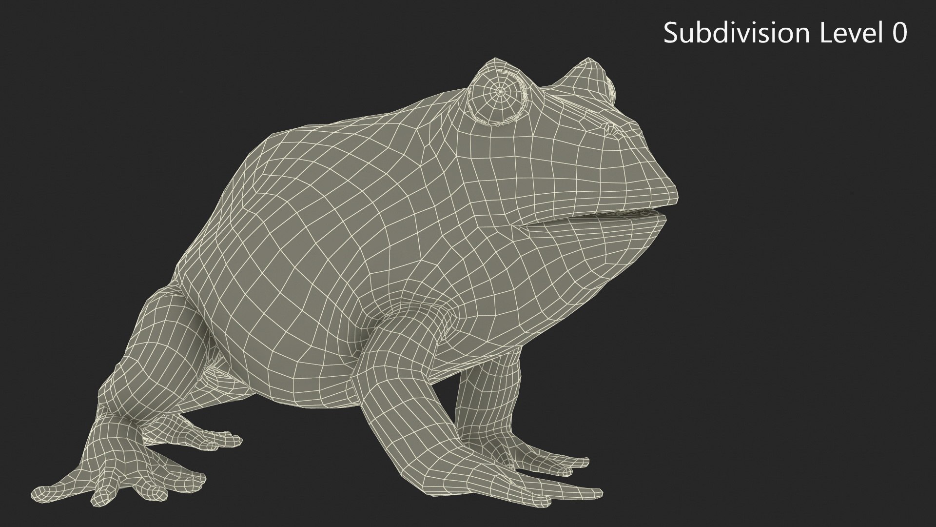 3D Model American Horned Frog - TurboSquid 2307909