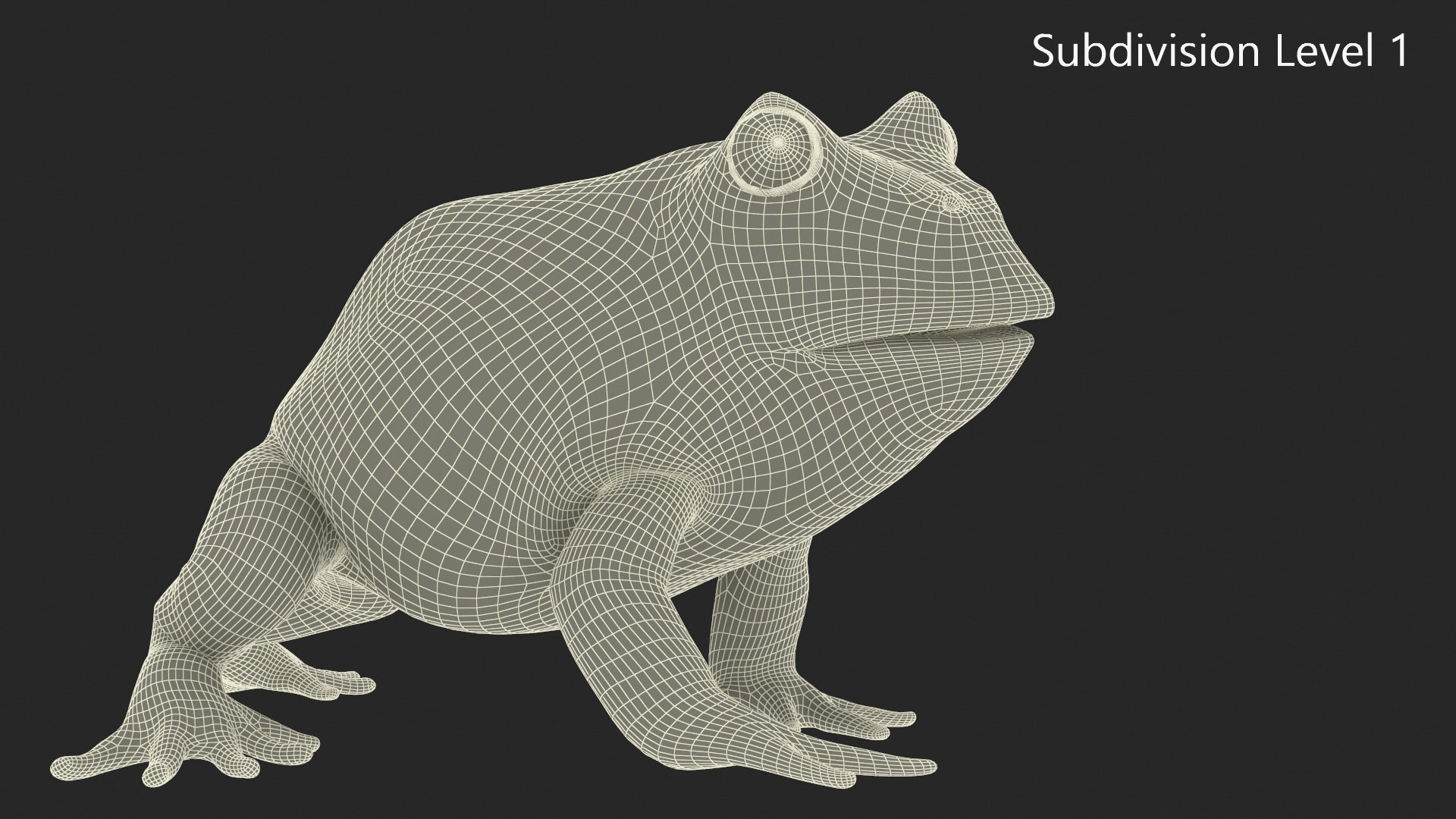 3D Model American Horned Frog - TurboSquid 2307909