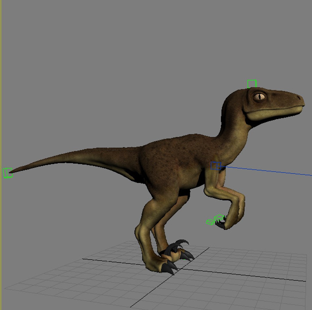 3d Raptor Model