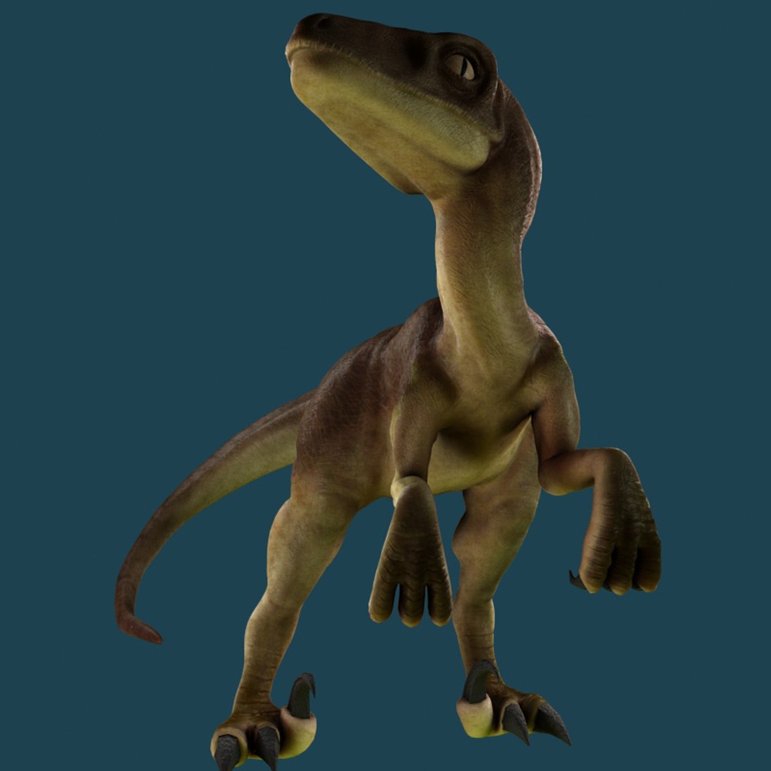 3d Raptor Model