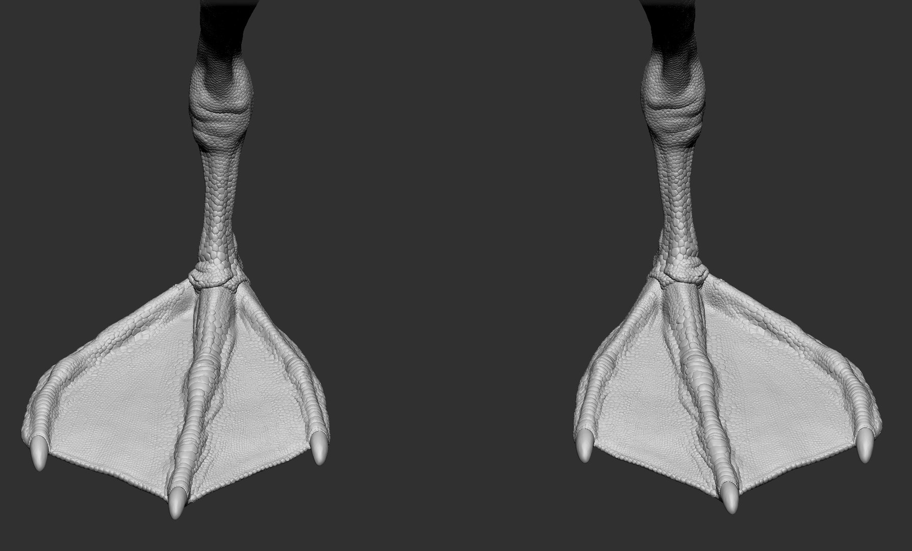 Swan Feet 3d VFX 3D Model - TurboSquid 1844914