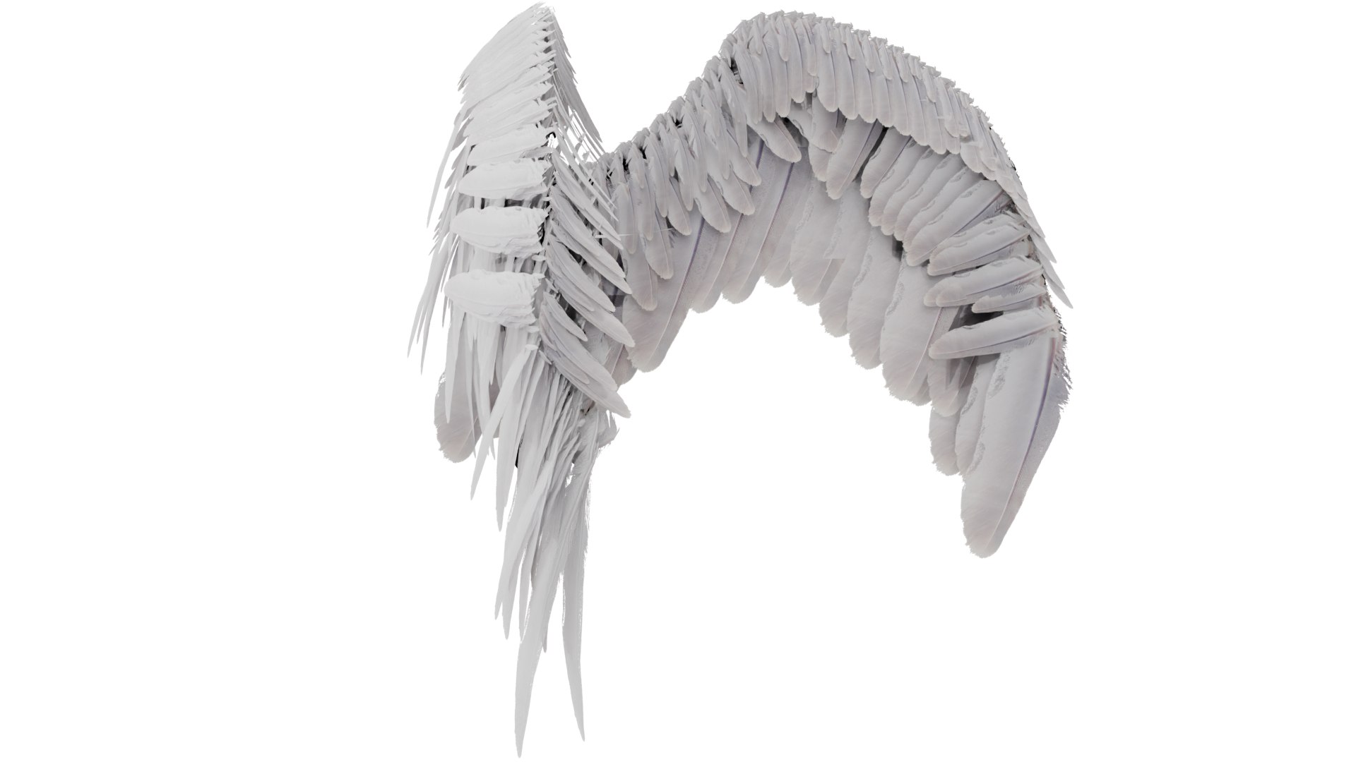 3D Angle Wings - TurboSquid 2352777