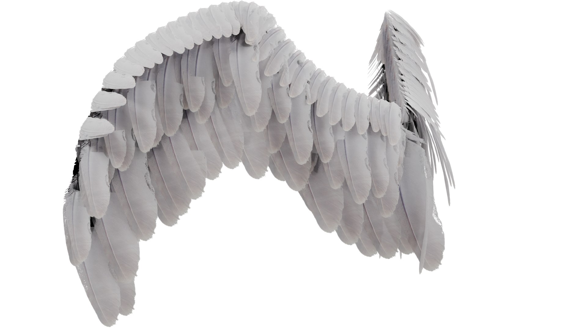 3D Angle Wings - TurboSquid 2352777