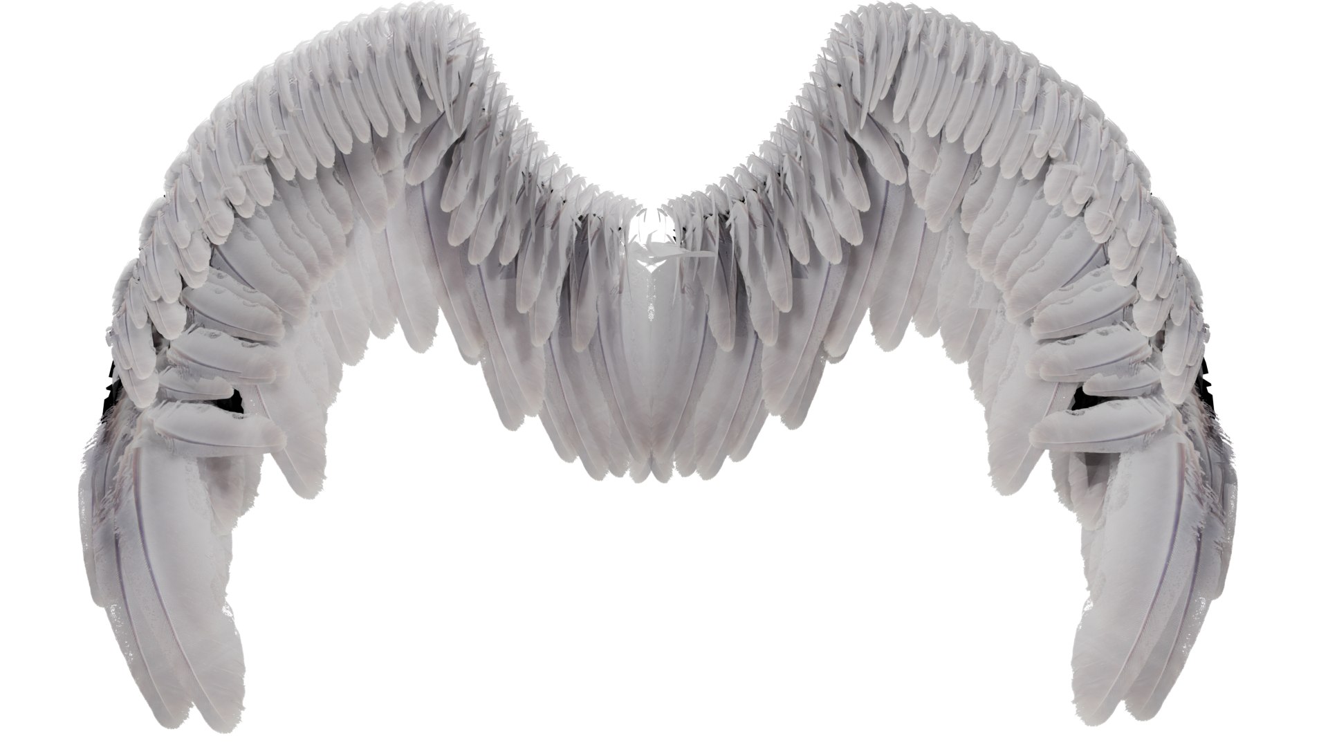 3D Angle Wings - TurboSquid 2352777