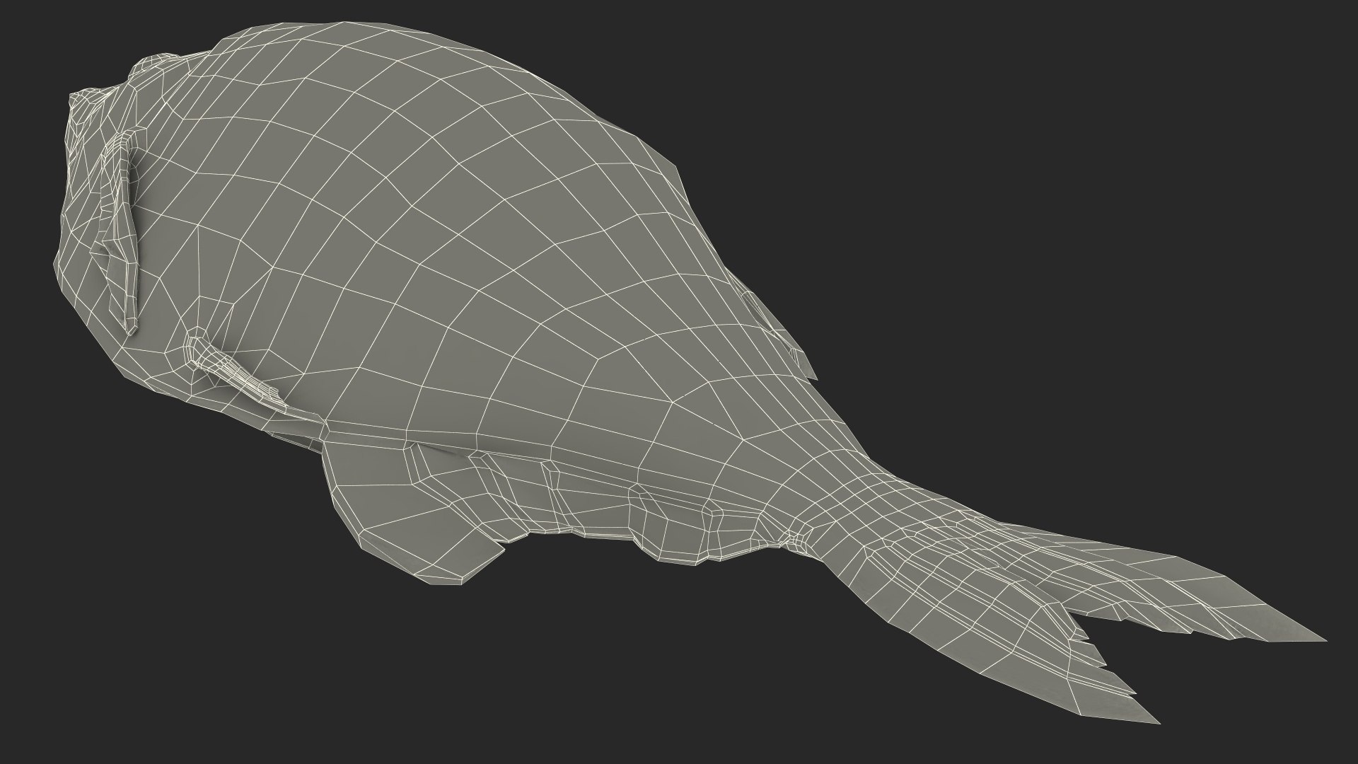 3D Model Caught Bronze Bream Fish Lying - TurboSquid 2158212