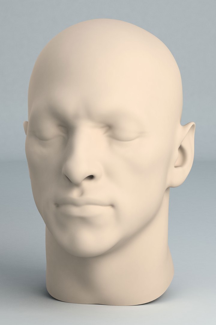 Max Male Head
