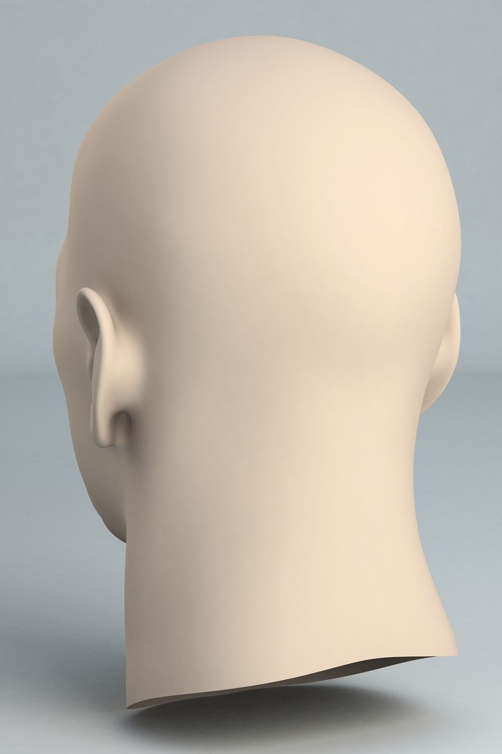 Max Male Head