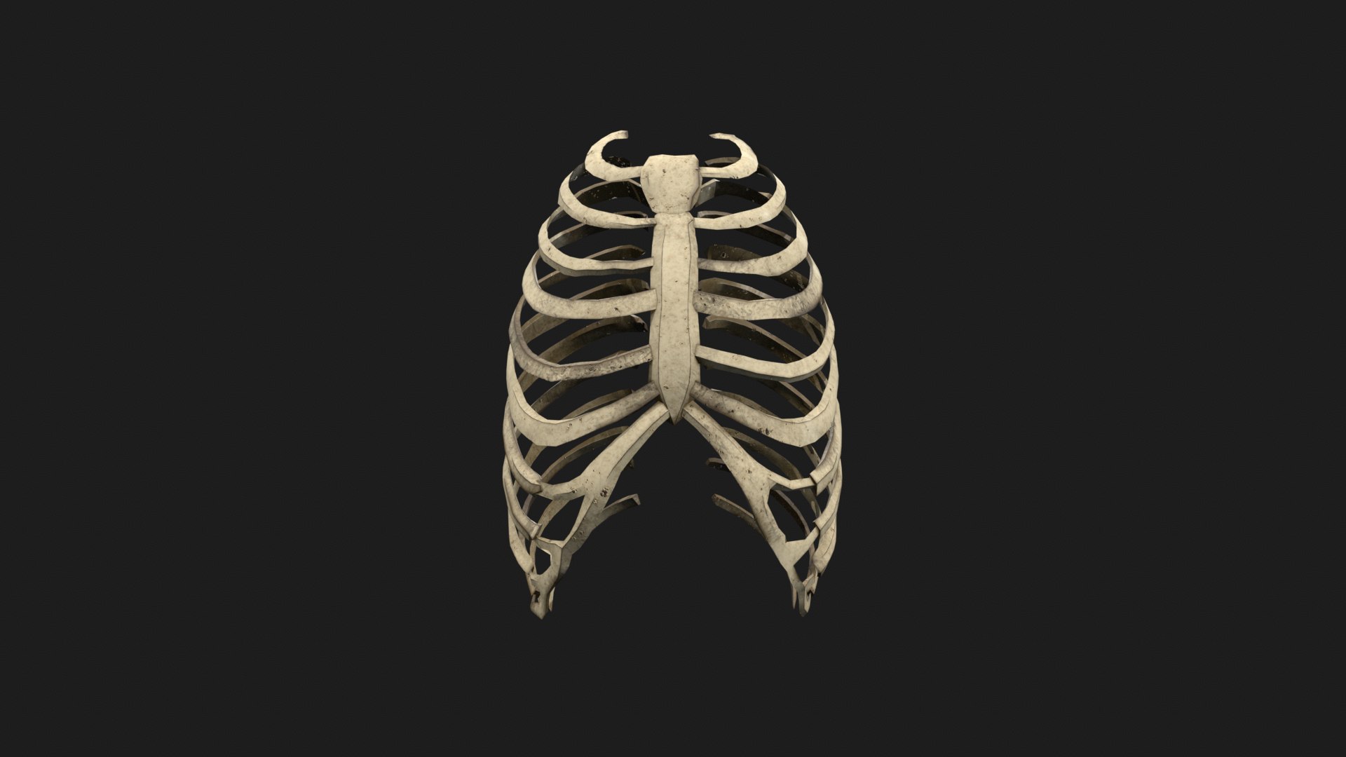 3D Medieval Ribcage Model - TurboSquid 2326108