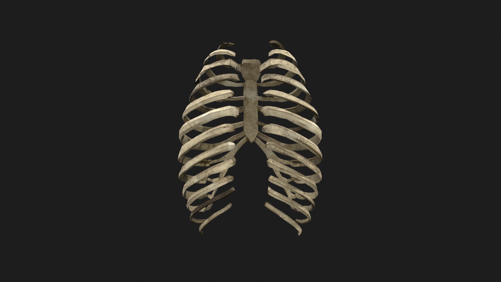 3D Medieval Ribcage Model - TurboSquid 2326108