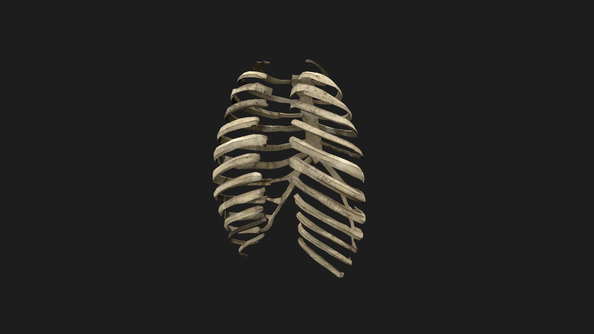 3D Medieval Ribcage Model - TurboSquid 2326108