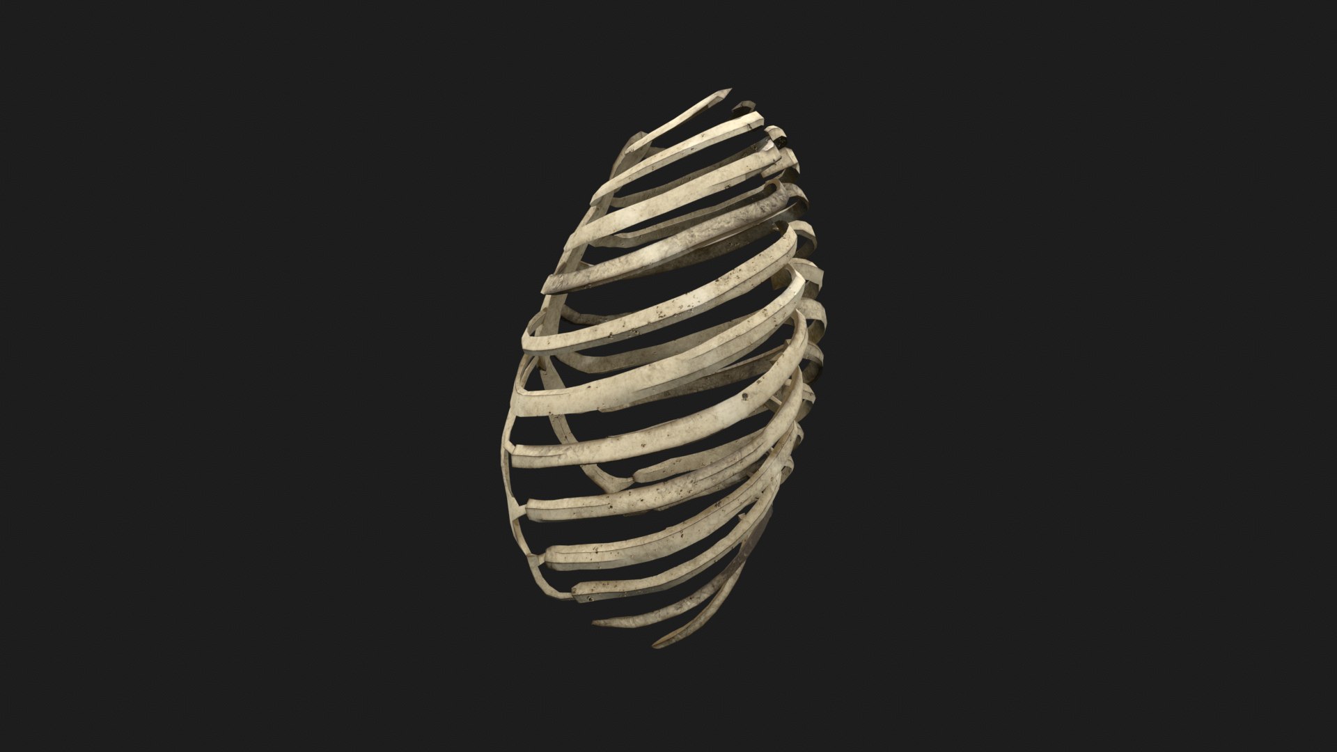 3D Medieval Ribcage Model - TurboSquid 2326108
