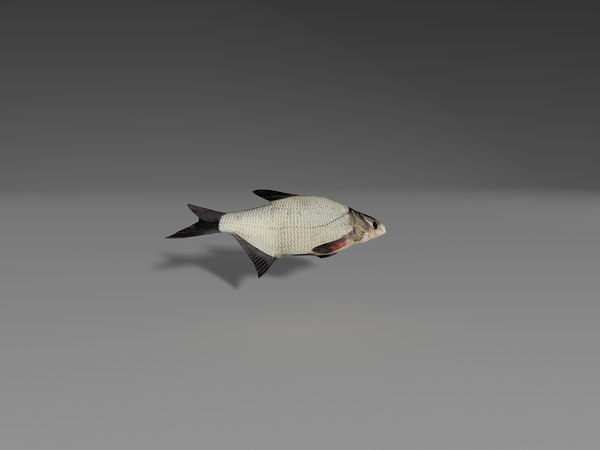 3d bream gamedev