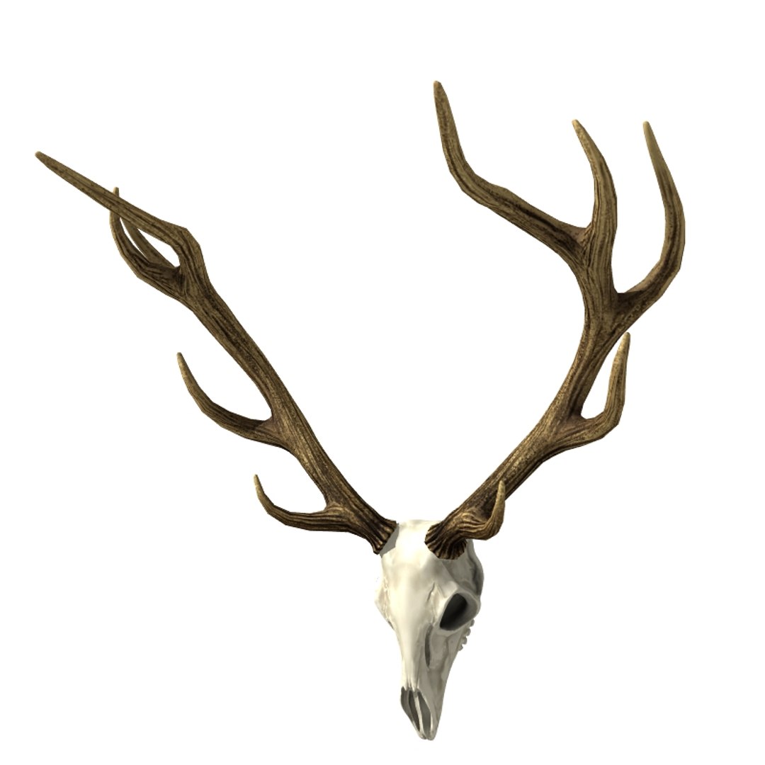 3d Hunting Trophy
