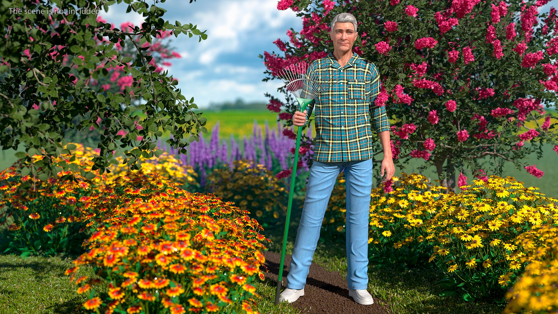 Grey-Haired Man In Plaid Shirt With Rake Rigged For Maya 3D ...