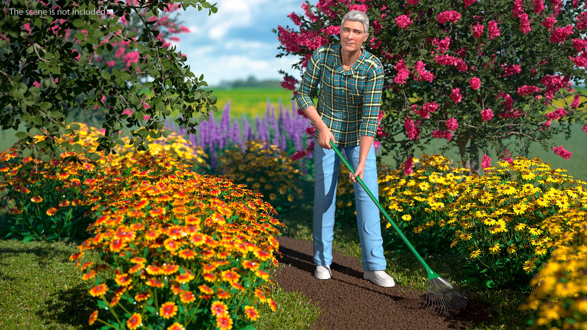 Grey-Haired Man In Plaid Shirt With Rake Rigged For Maya 3D ...