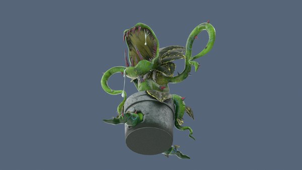 3D carnivorous plant model - TurboSquid 1574825