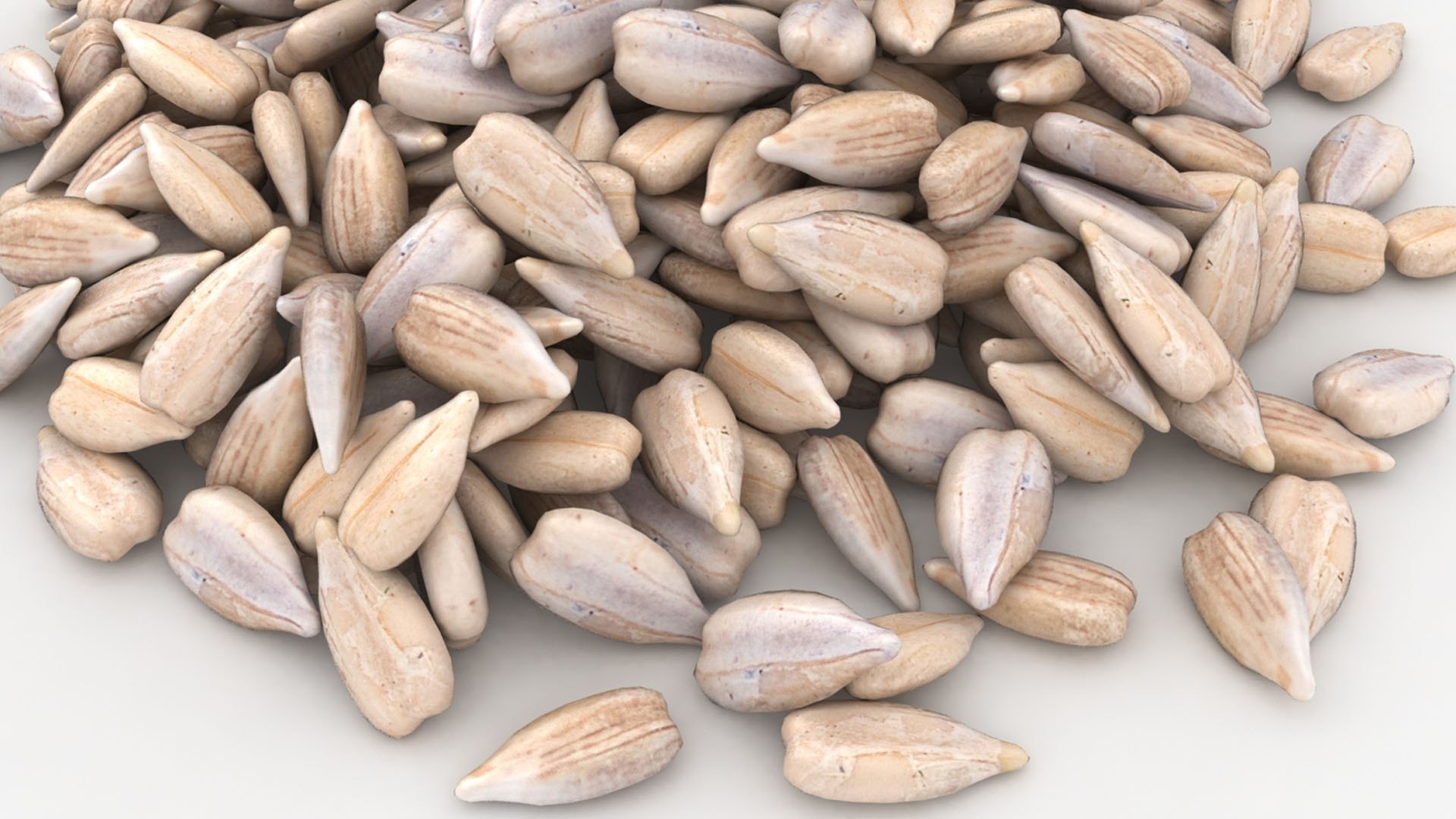 3D Sunflower Seeds Pile Collection model - TurboSquid 2108610